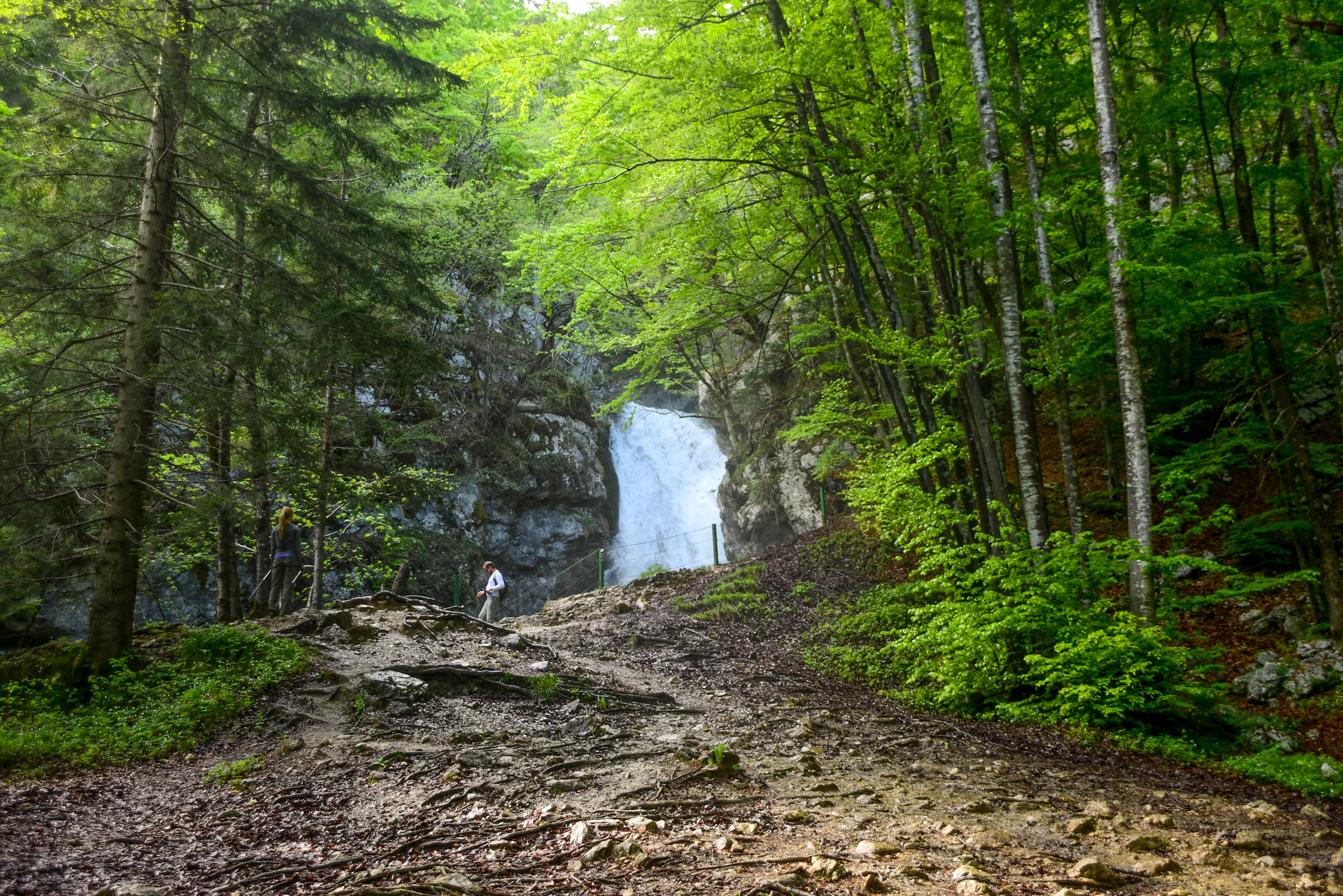 CoverMore_Lisa_Owen_Slovenia_Waterfall – The Little Adventurer